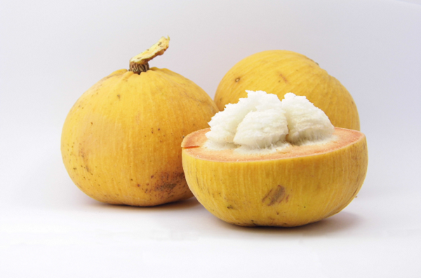 Bangkok Santol (per kg) – The Veggie Table PH