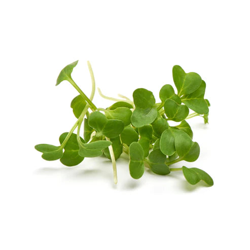 Microgreens (50g/pack) – The Veggie Table PH