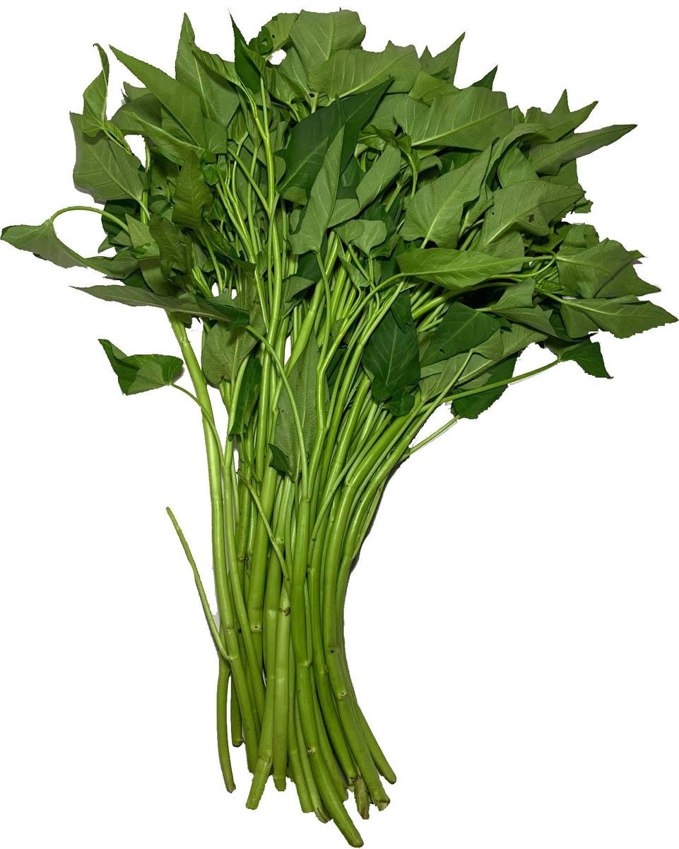 Kangkong Clipart