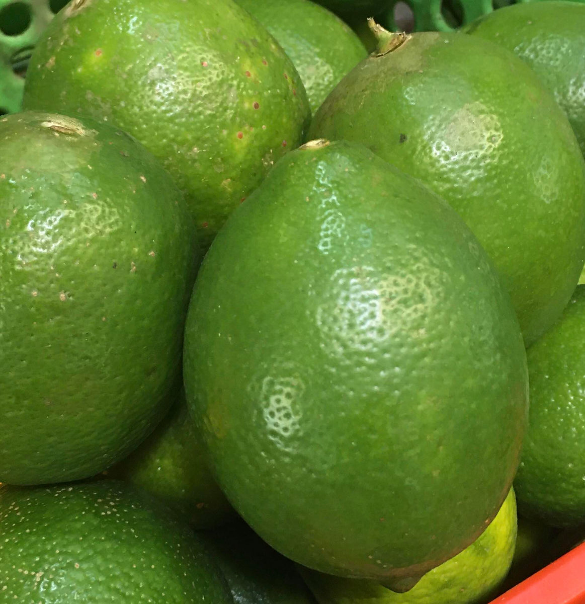 Dayap or Local Lime (500g) – The Veggie Table PH