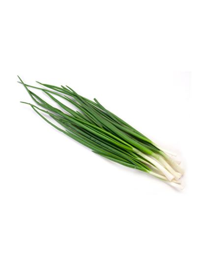 Spring onions (Sibuyas dahon )/100g – The Veggie Table PH